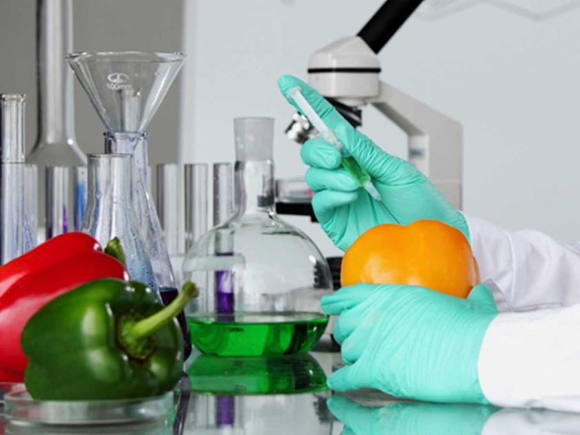 Bachelor of Technology (Food Science and Technology) | CCAP